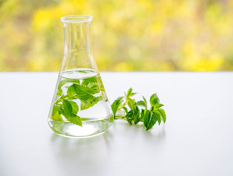 Metabolaid - Metabolaid®